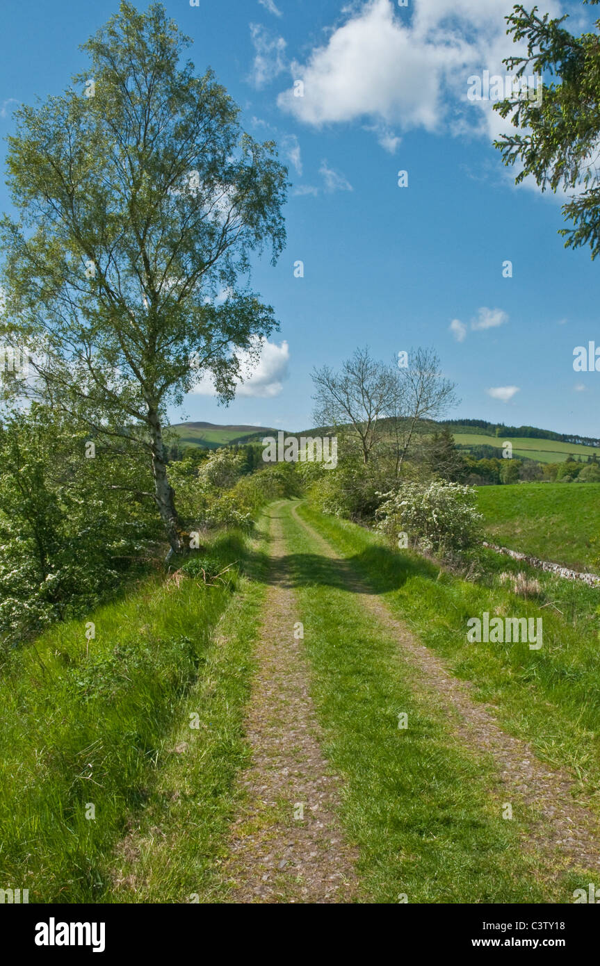 Old Rail line at Lyne Station nr Peebles Scottish Borders Scotland ...