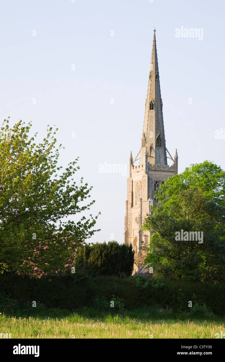 "St John the Baptist", Thaxted Church, Essex, England Stock Photo - Alamy