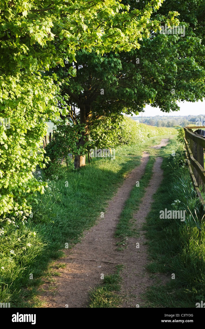 Old english country lane hi-res stock photography and images - Alamy