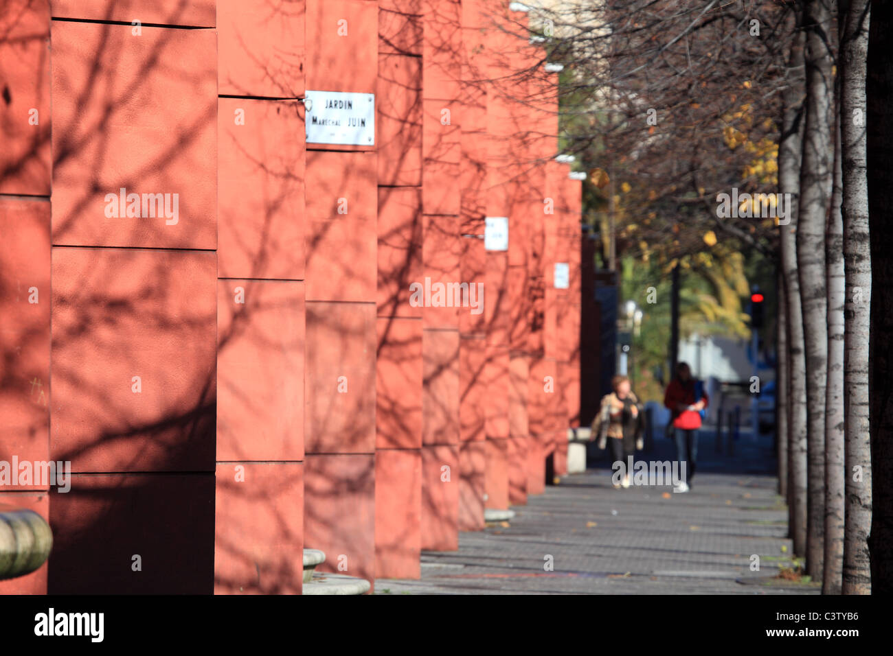 Branch shadow projected on a colorful wall and street perspective in ...