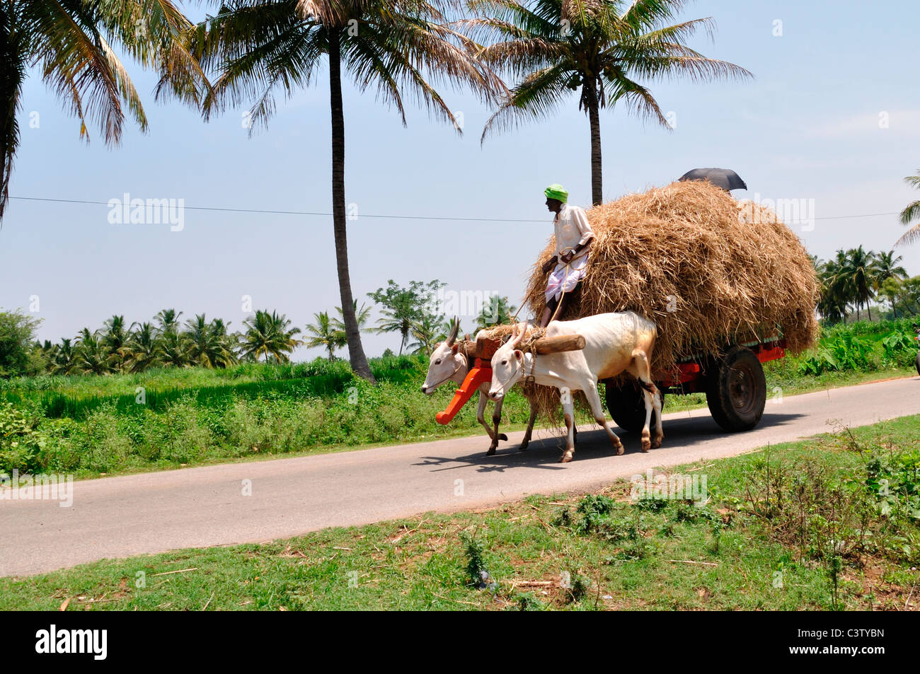 Ox cart india hi-res stock photography and images - Alamy