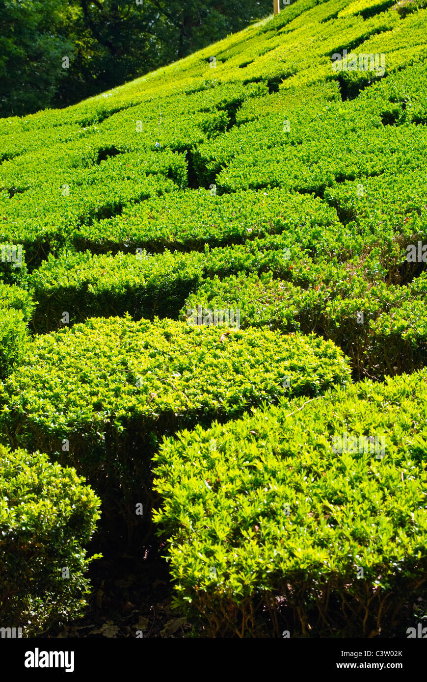 Chevreuse valley hi-res stock photography and images - Alamy