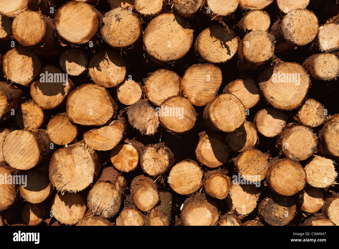 Timber collection hi-res stock photography and images - Alamy