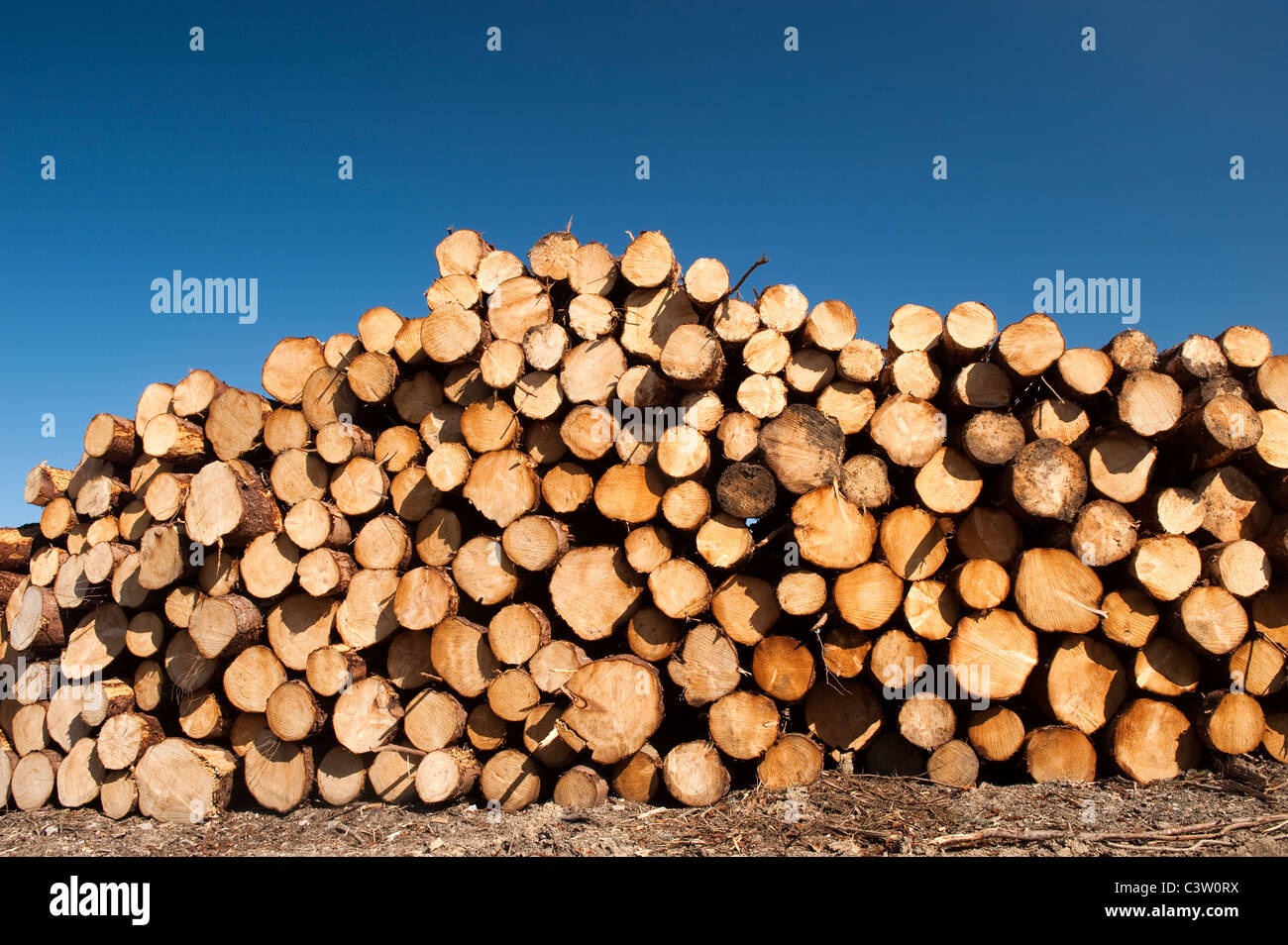 Timber collection hi-res stock photography and images - Alamy