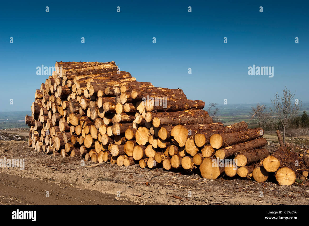 Timber collection hi-res stock photography and images - Alamy