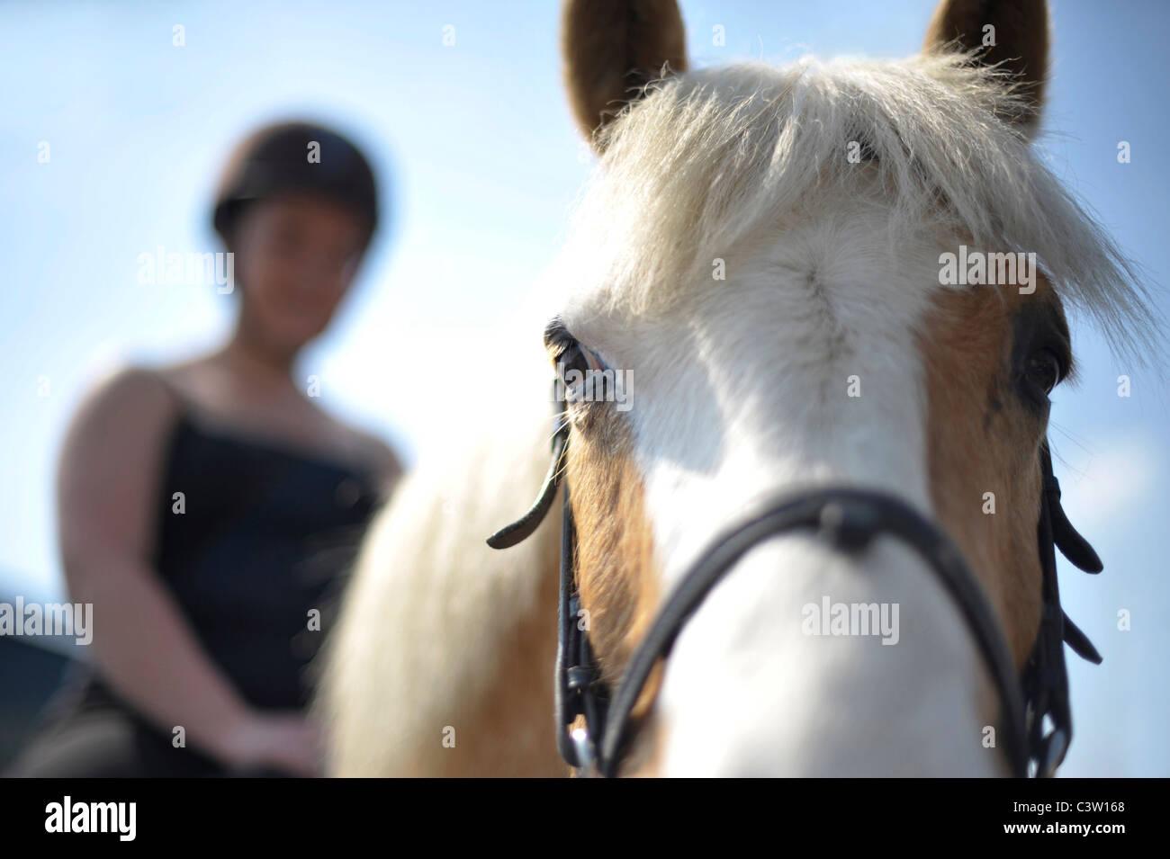 Lady horse rider hi-res stock photography and images - Alamy