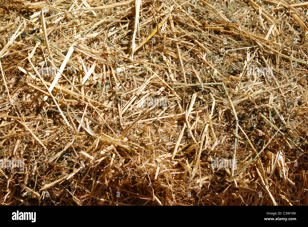Hay background on a sunny day Stock Photo - Alamy