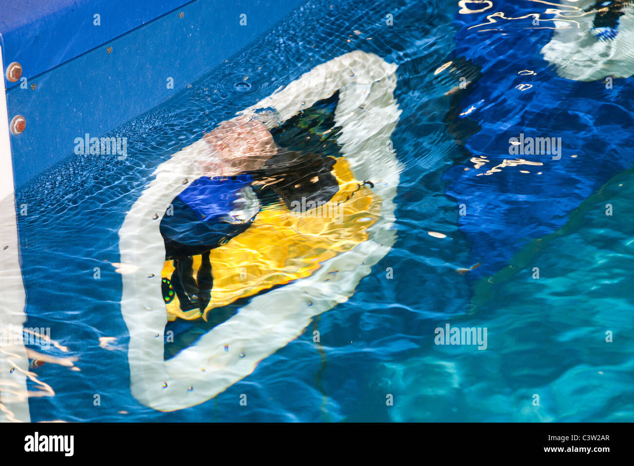 Workers in the offshore industry practice helicopter ditching ...