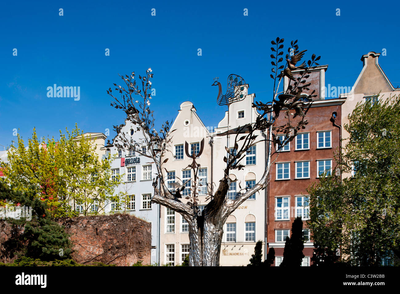 Millennium tree poland hi-res stock photography and images - Alamy