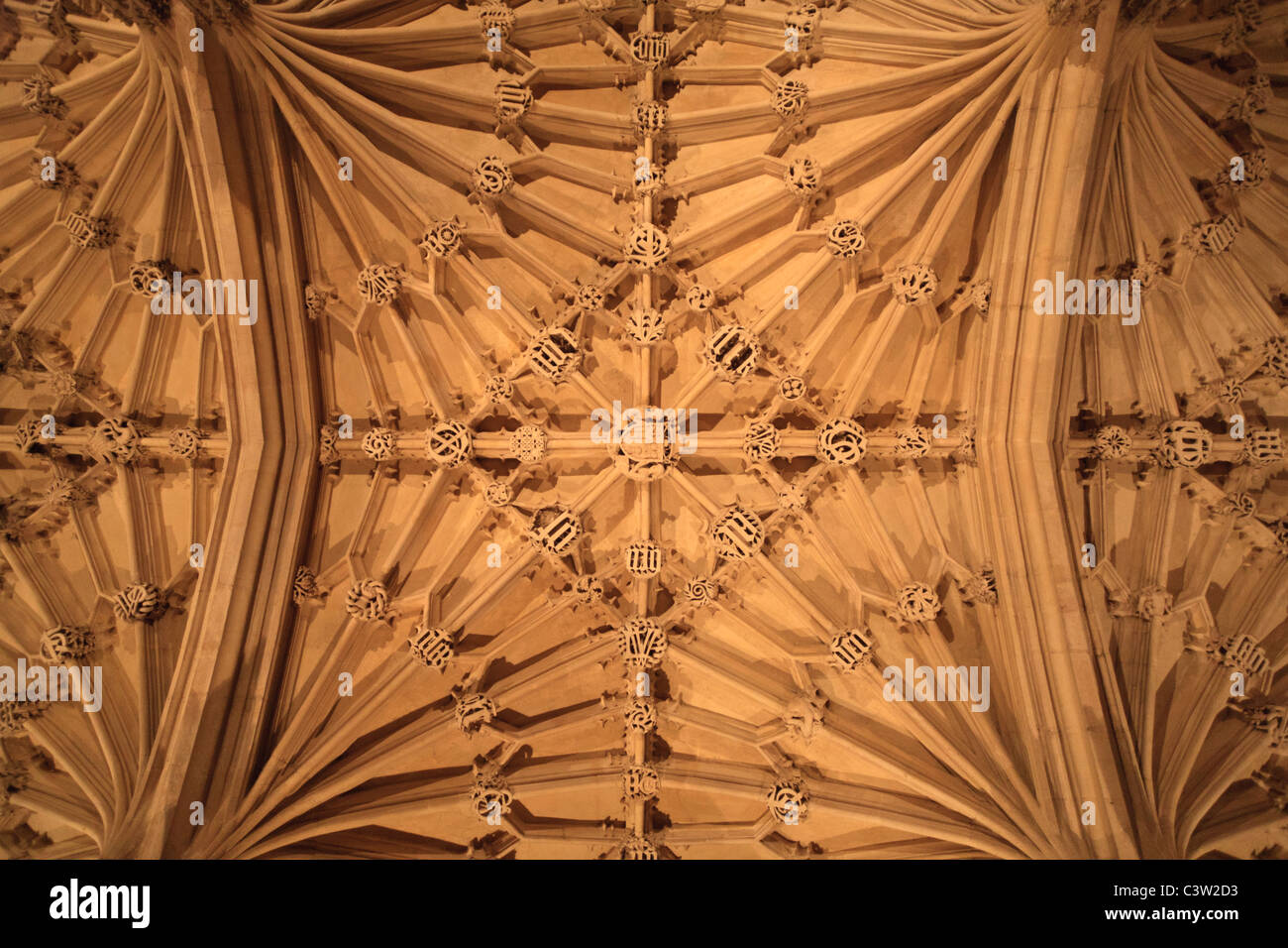 The ceiling of the Divinity School at the Bodleian Library, Oxford ...