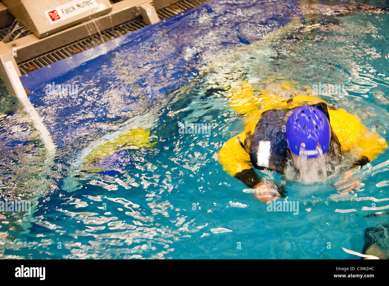 Workers in the offshore industry practice helicopter ditching ...