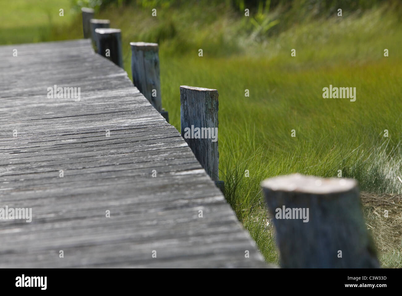 Wooden dock in a marsh Stock Photo - Alamy