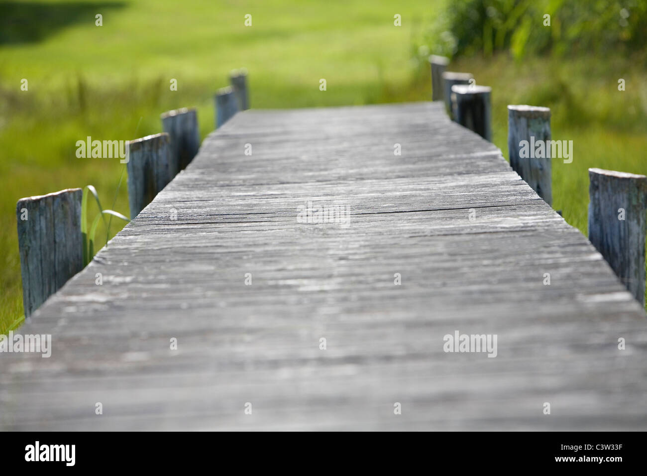 Wooden dock in a marsh Stock Photo - Alamy