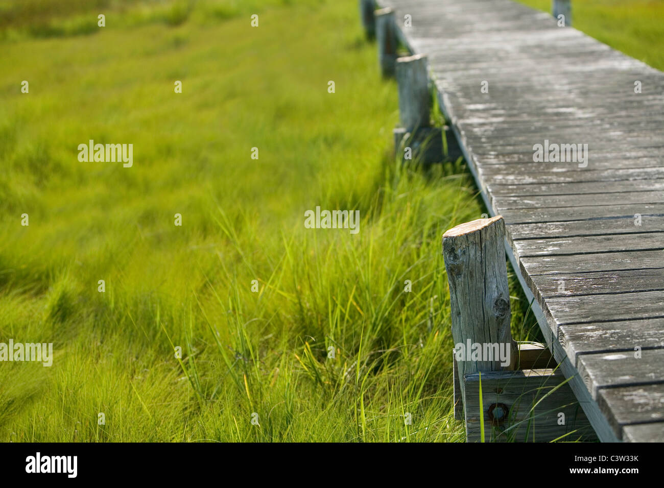 Wooden dock in a marsh Stock Photo - Alamy