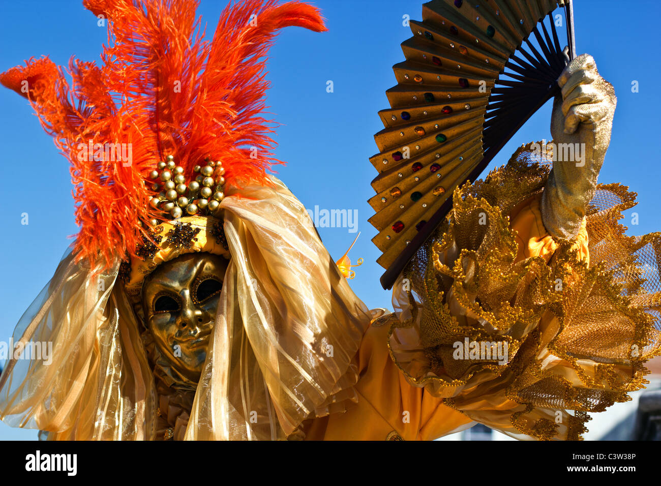 Fool costume hi-res stock photography and images - Alamy