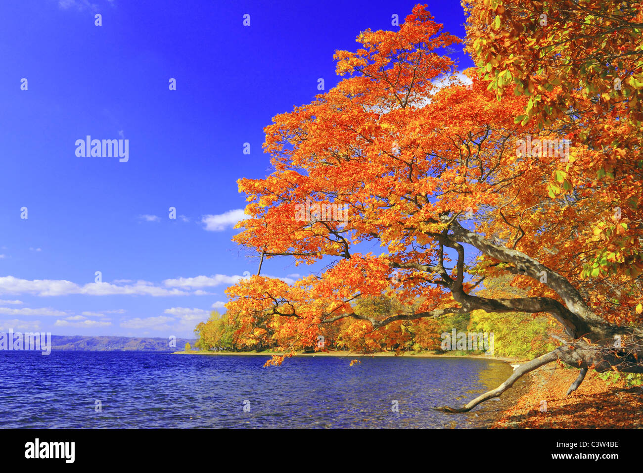 Lake Toya in Autumn Stock Photo - Alamy