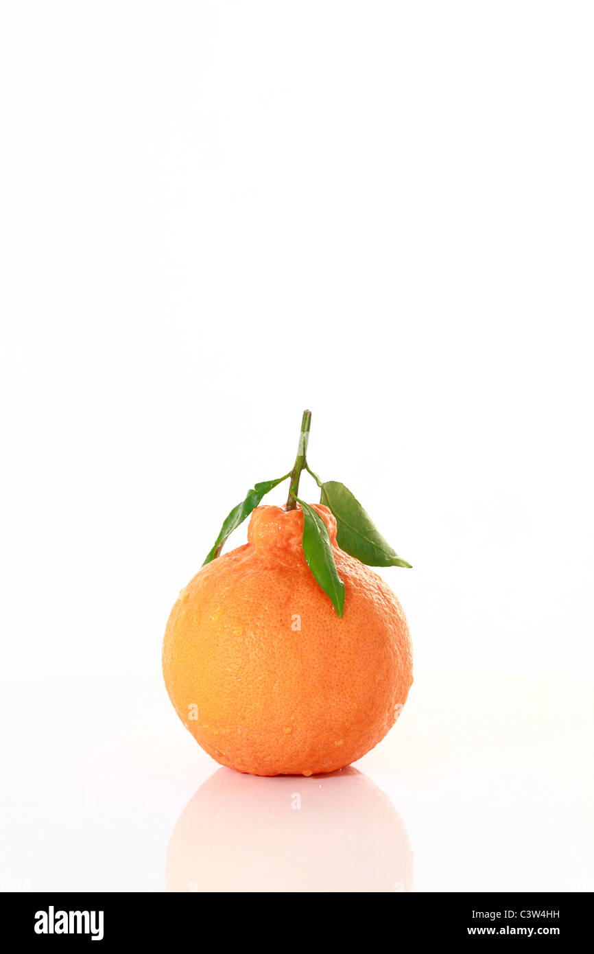 Dekopon hi-res stock photography and images - Alamy