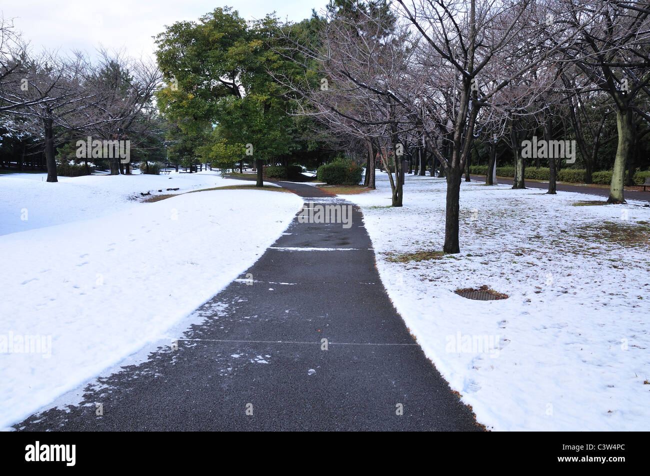 Tatsuminomori Greenway Park, Koto ward, Tokyo Prefecture, Honshu, Japan ...