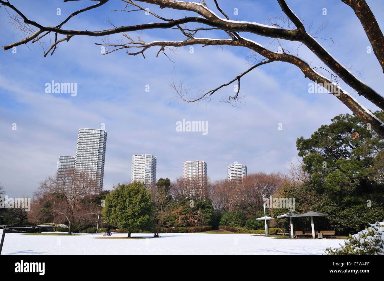 Tatsuminomori Greenway Park, Koto ward, Tokyo Prefecture, Honshu, Japan ...