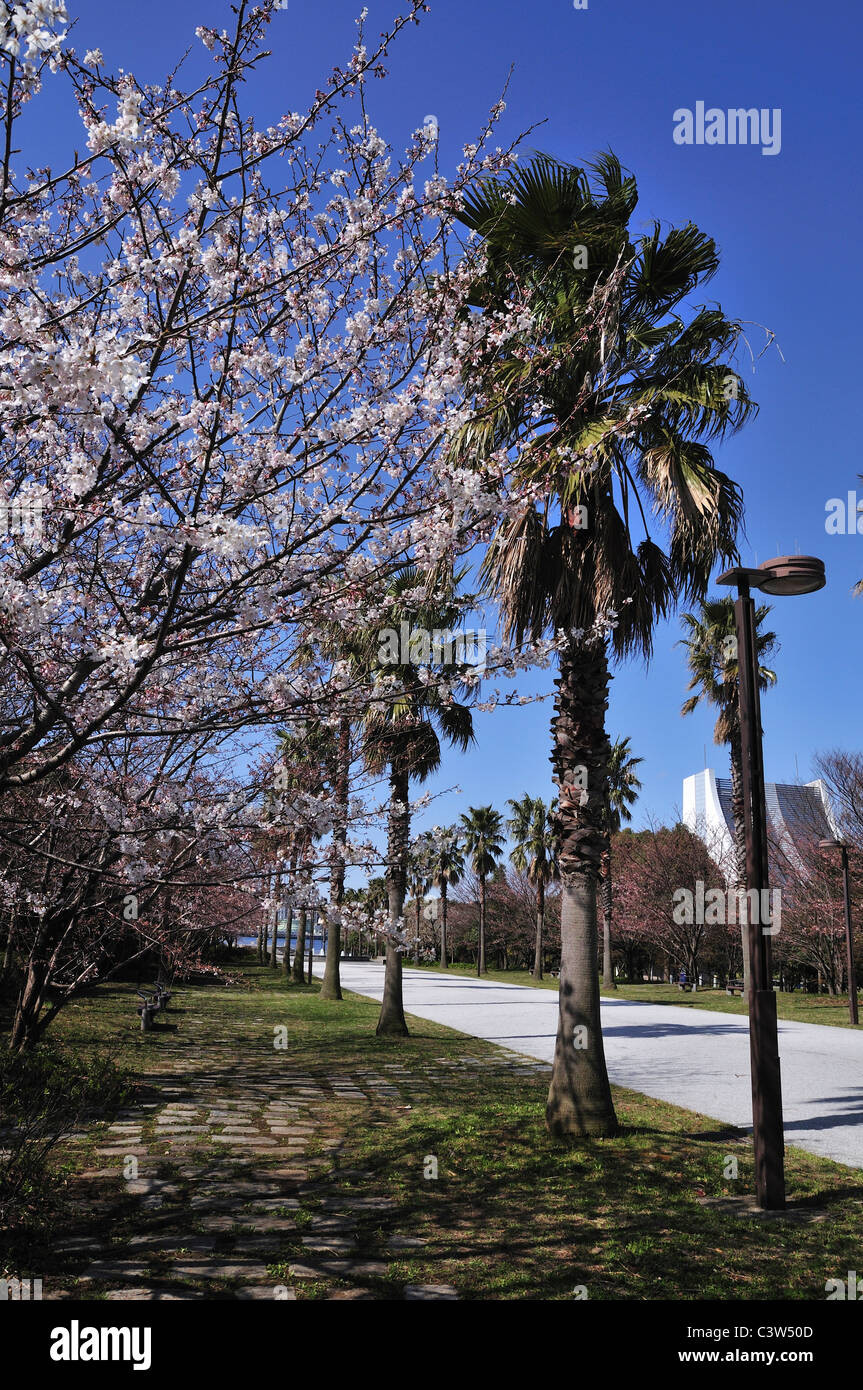 Shiokaze hi-res stock photography and images - Alamy