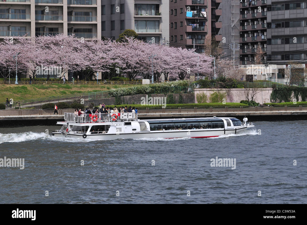 Tourboat at Sumida River Stock Photo - Alamy