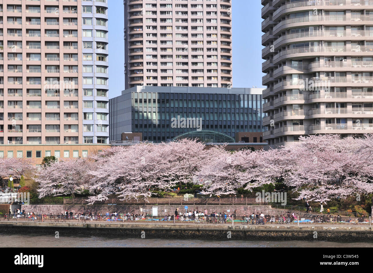 Tsukuda park hi-res stock photography and images - Alamy