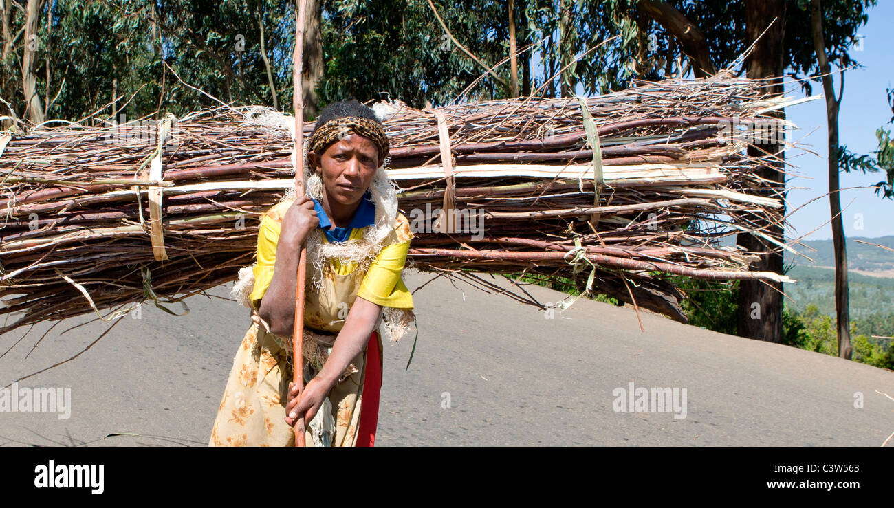 Carrying Bundles High Resolution Stock Photography and Images - Alamy