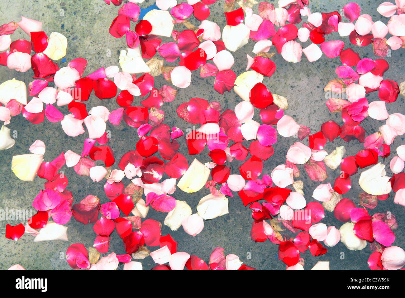 Petals floating in water hi-res stock photography and images - Alamy