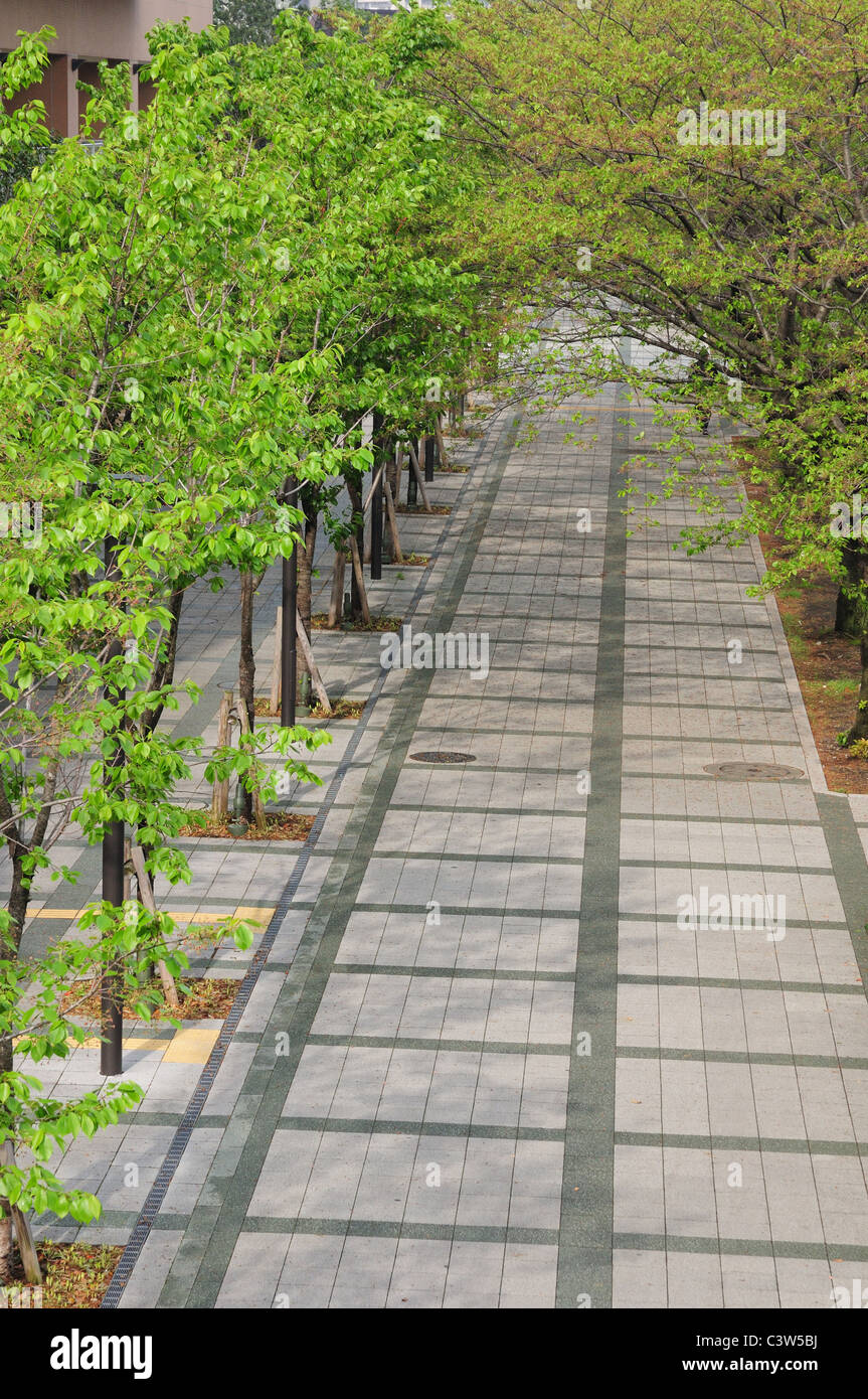 Trees in Park Stock Photo - Alamy