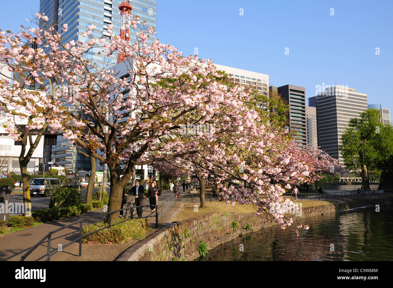Otemachi in Spring Stock Photo - Alamy