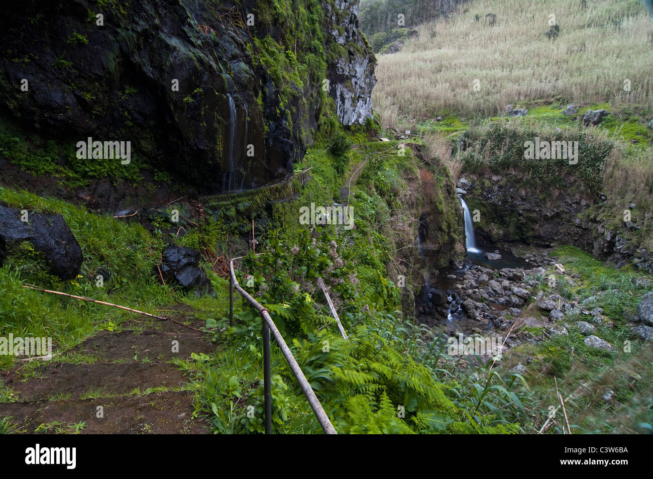 Walking trail water path with cascade in the Azores Stock Photo - Alamy