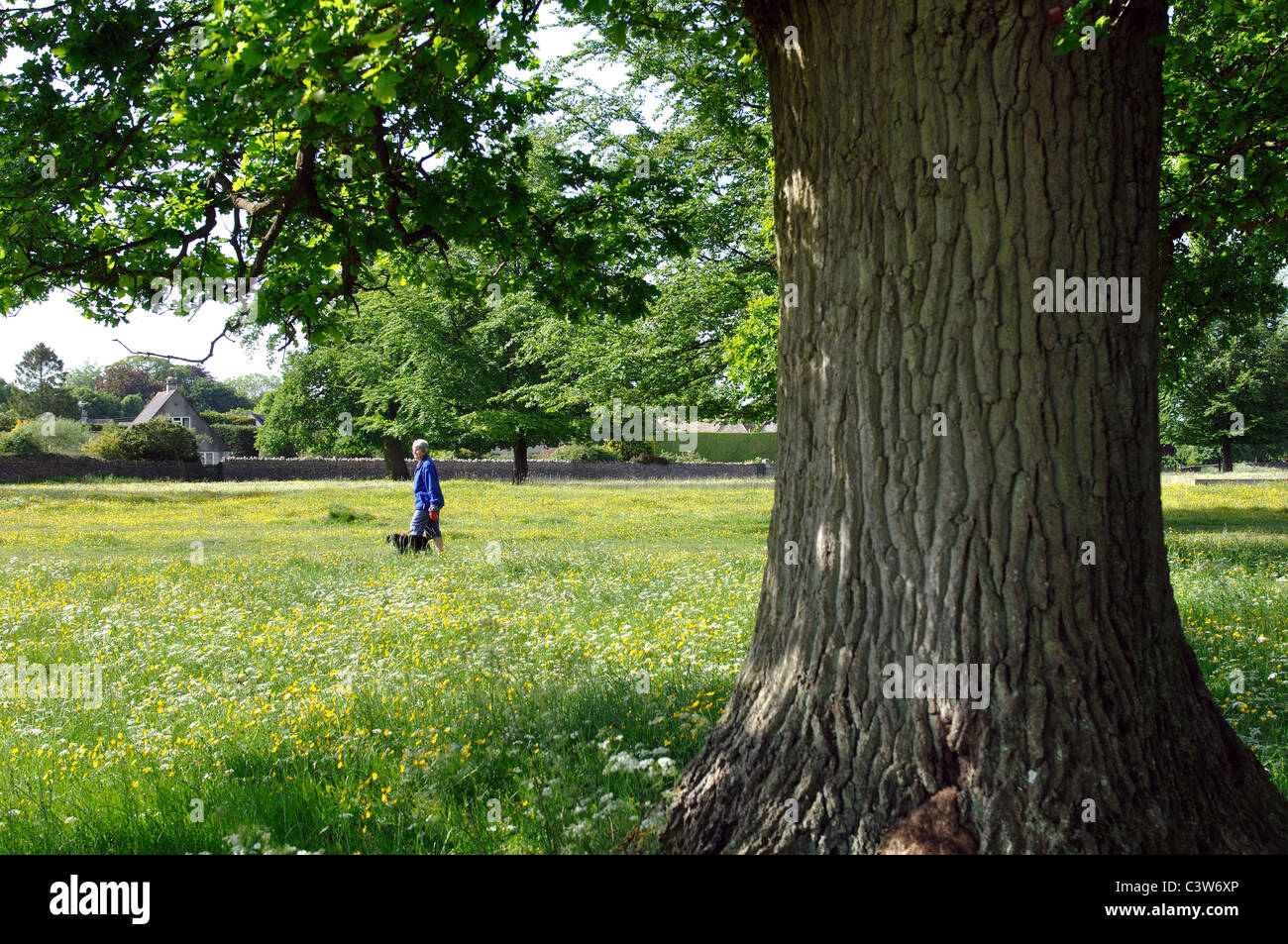 Minchinhampton Common, Gloucestershire, England, UK Stock Photo - Alamy