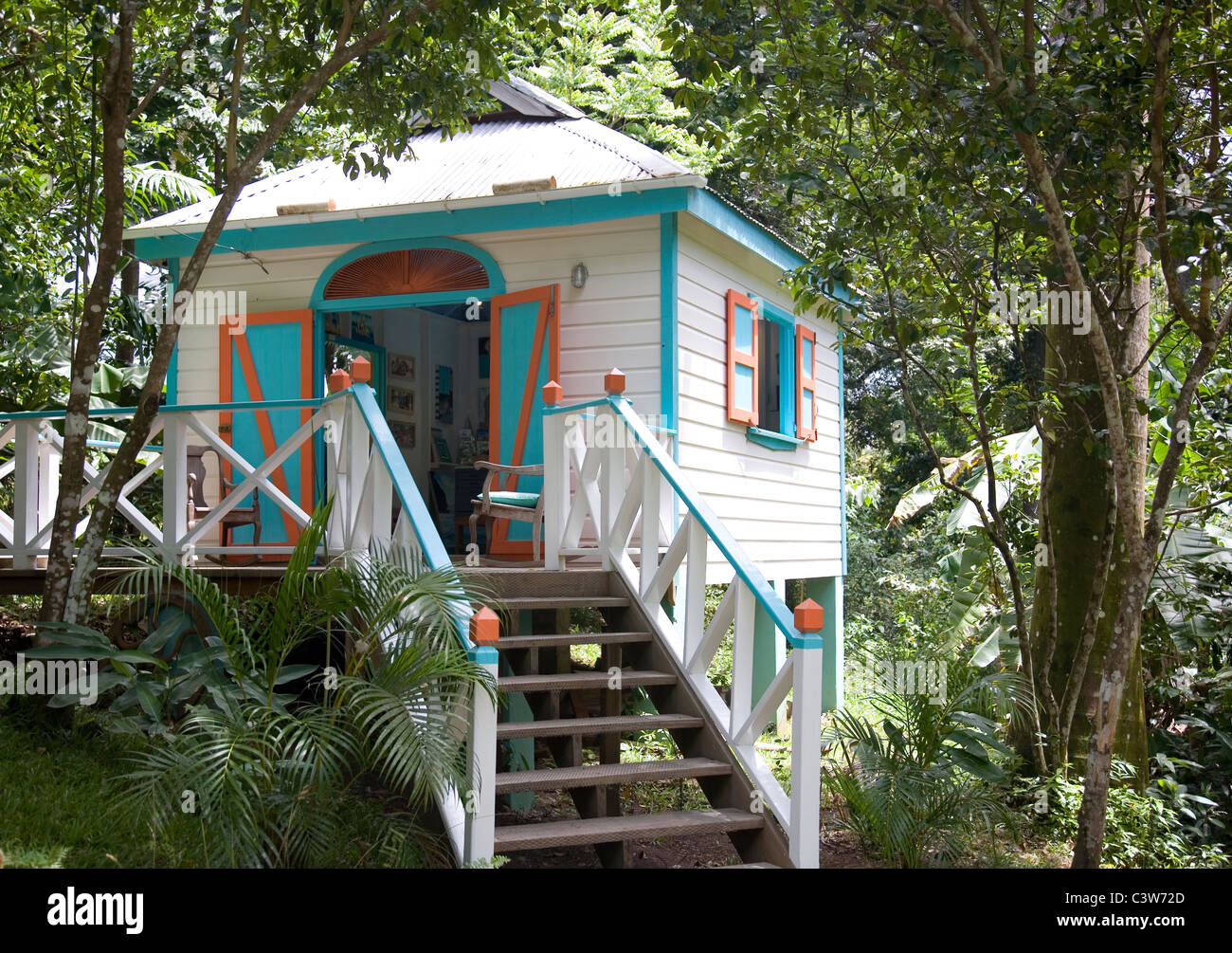 Fig Tree Drive Gallery in Antigua Stock Photo - Alamy