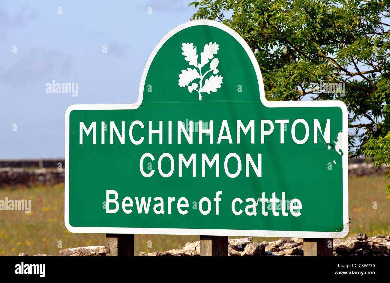 Minchinhampton common hi-res stock photography and images - Alamy
