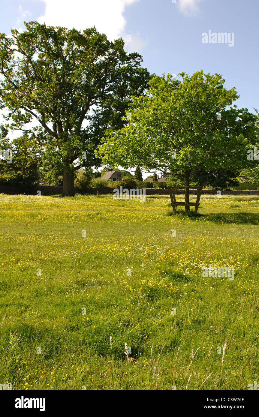 Minchinhampton Common, Gloucestershire, England, UK Stock Photo - Alamy