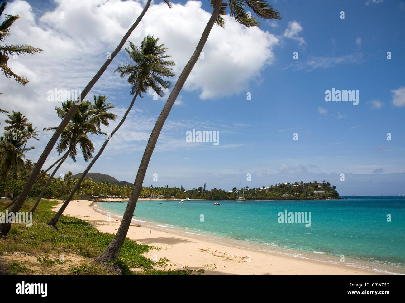 Morris bay in antigua hi-res stock photography and images - Alamy