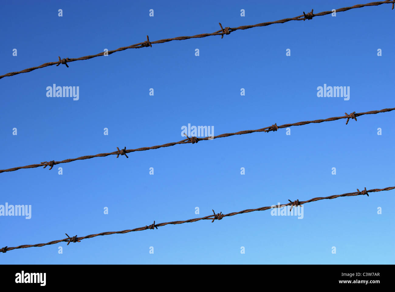 Cut wire fence detail with clear blue sky background Stock Photo - Alamy