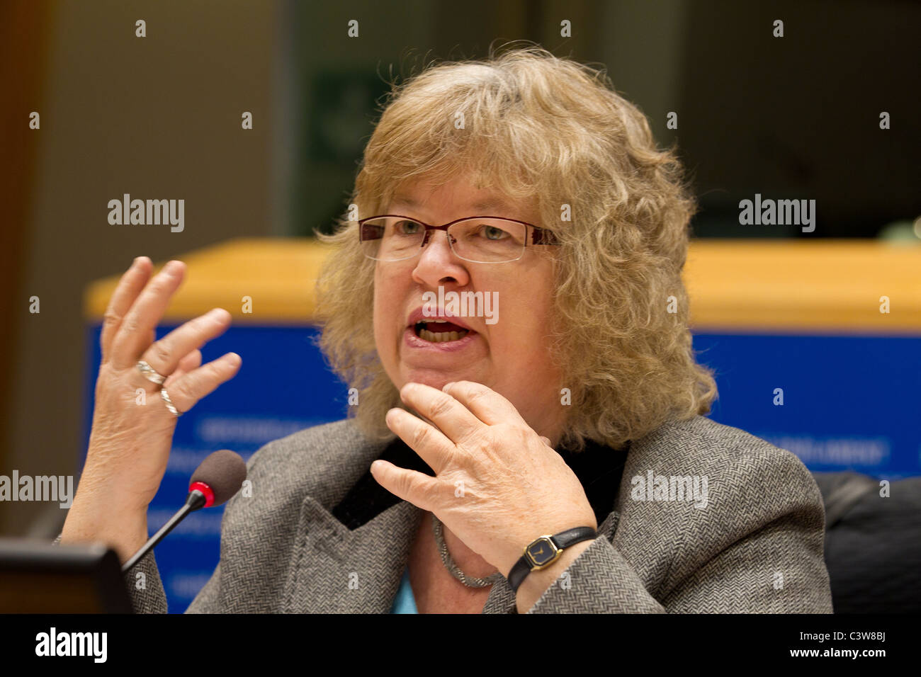 Jean Lambert, MEP, United Kingdom Stock Photo - Alamy