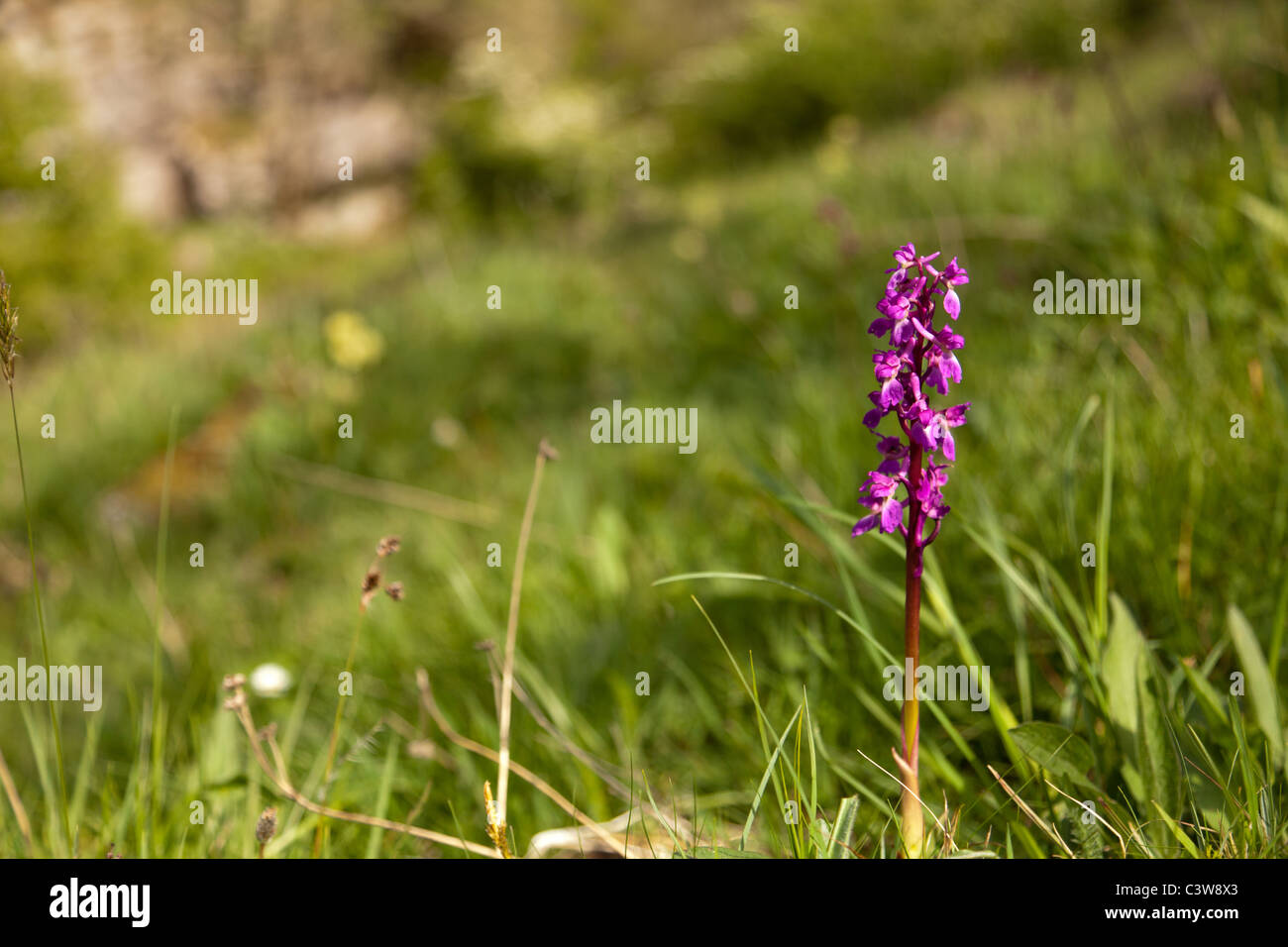 Monks dale peak district hi-res stock photography and images - Alamy