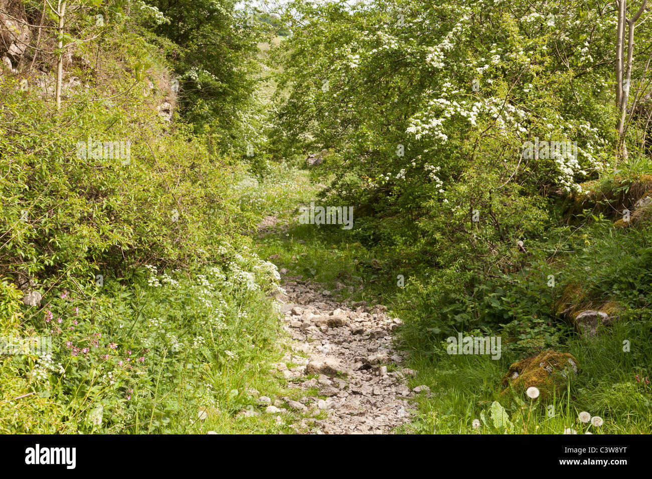 Monks dale peak district hi-res stock photography and images - Alamy
