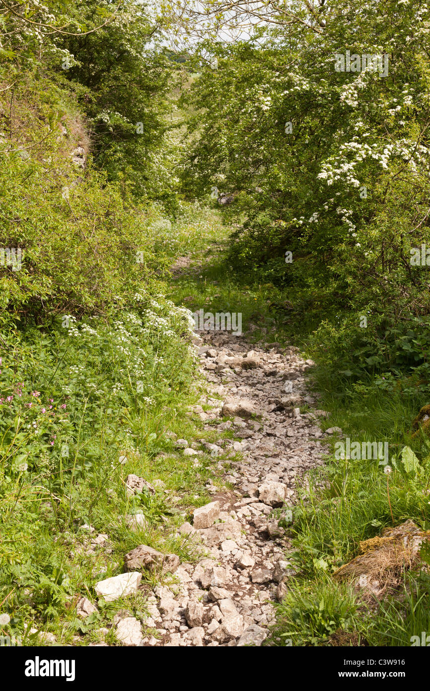 Monks dale peak district hi-res stock photography and images - Alamy