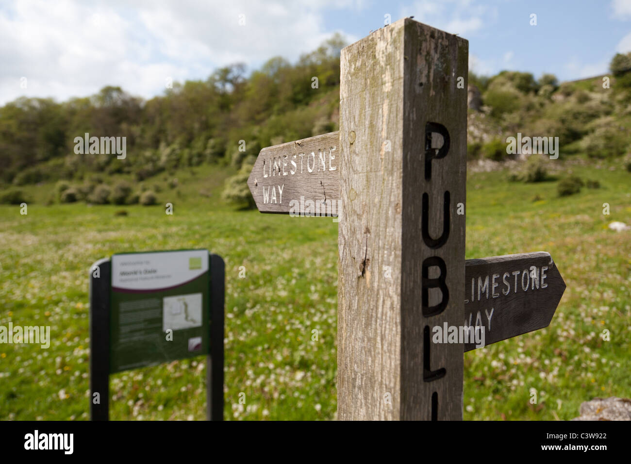 Springtime in Monks Dale in the White Peak, Derbyshire. Wild garlic and ...