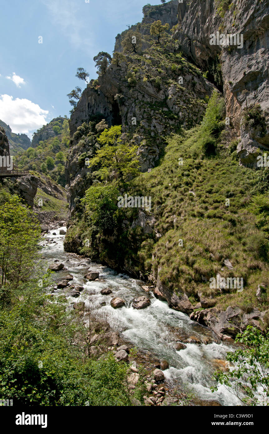 The Picos de Europa northern coast of Spain Cantabrian Mountains Stock ...