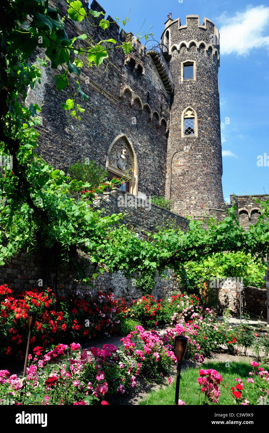 Rose garden in castle courtyard, Burg Rheinstein castle, Germany Stock ...