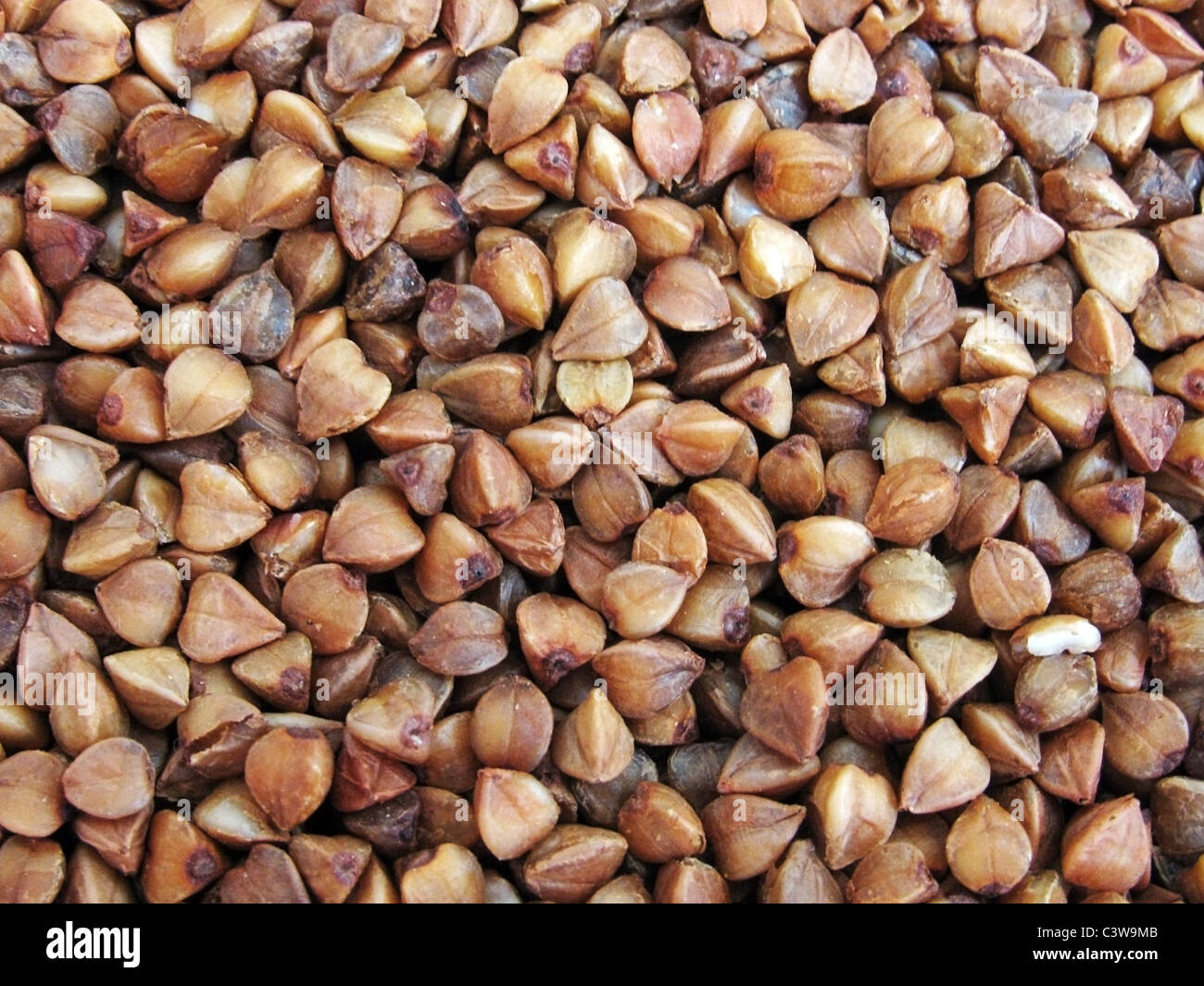 close up photo of buckwheat Stock Photo - Alamy