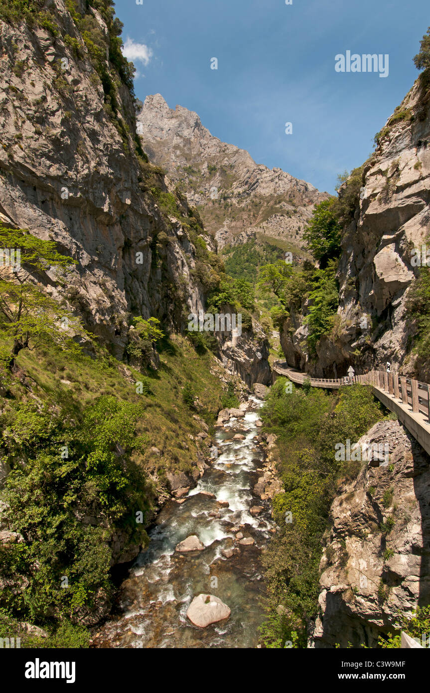 The Picos de Europa northern coast of Spain Cantabrian Mountains Stock ...