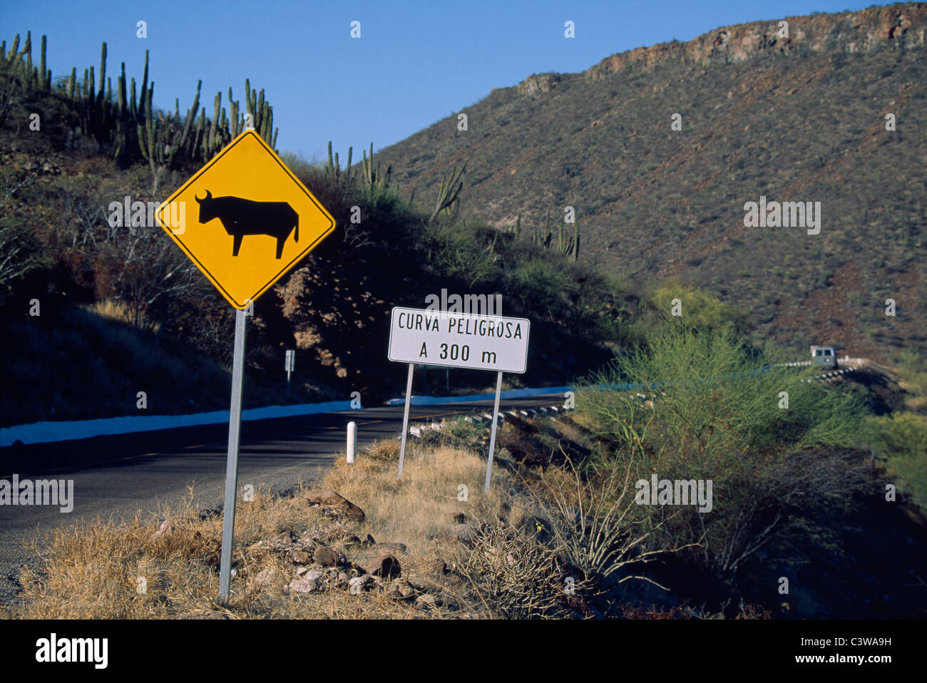 Traffic Signs In Mexico