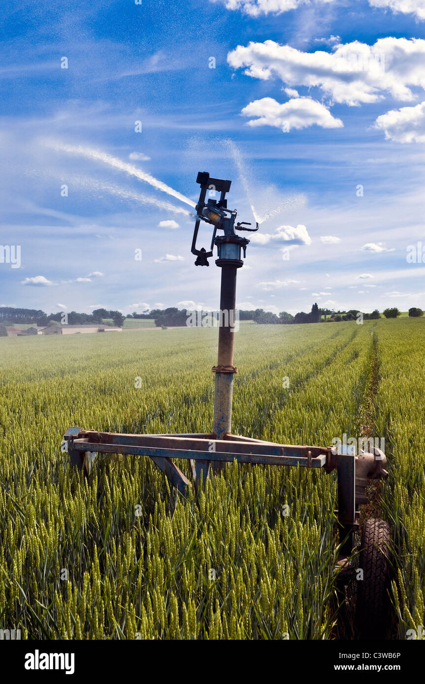Portable oscillating water irrigation jet - France Stock Photo - Alamy