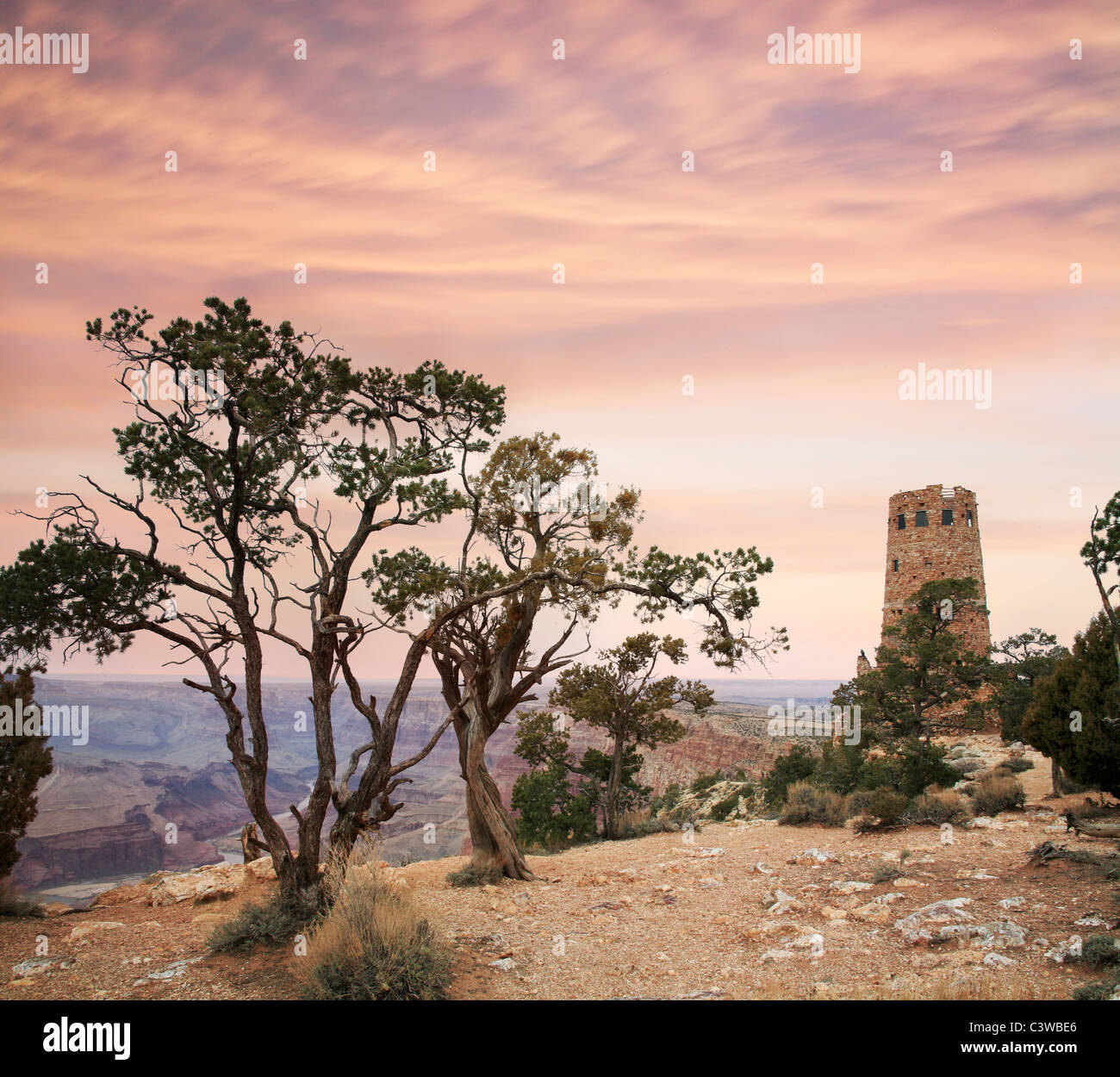 Hearty Trees And The Desert View Watchtower, Grand Canyon National Park ...