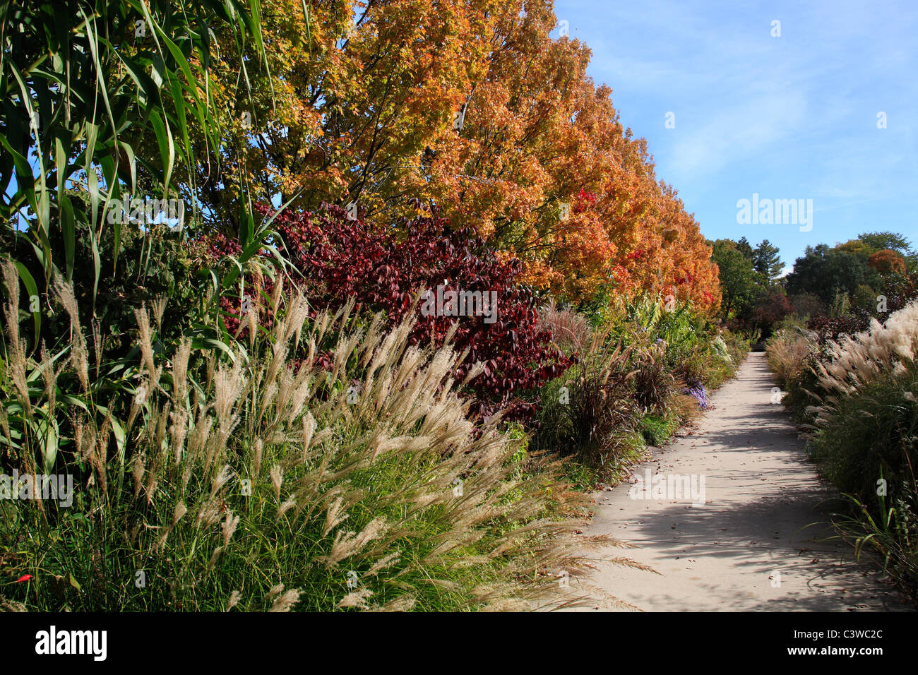 A Walking Path Through The Garden In Early Autumn, Ault Park ...